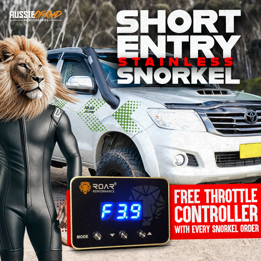Stainless Snorkel + Free Throttle Controller